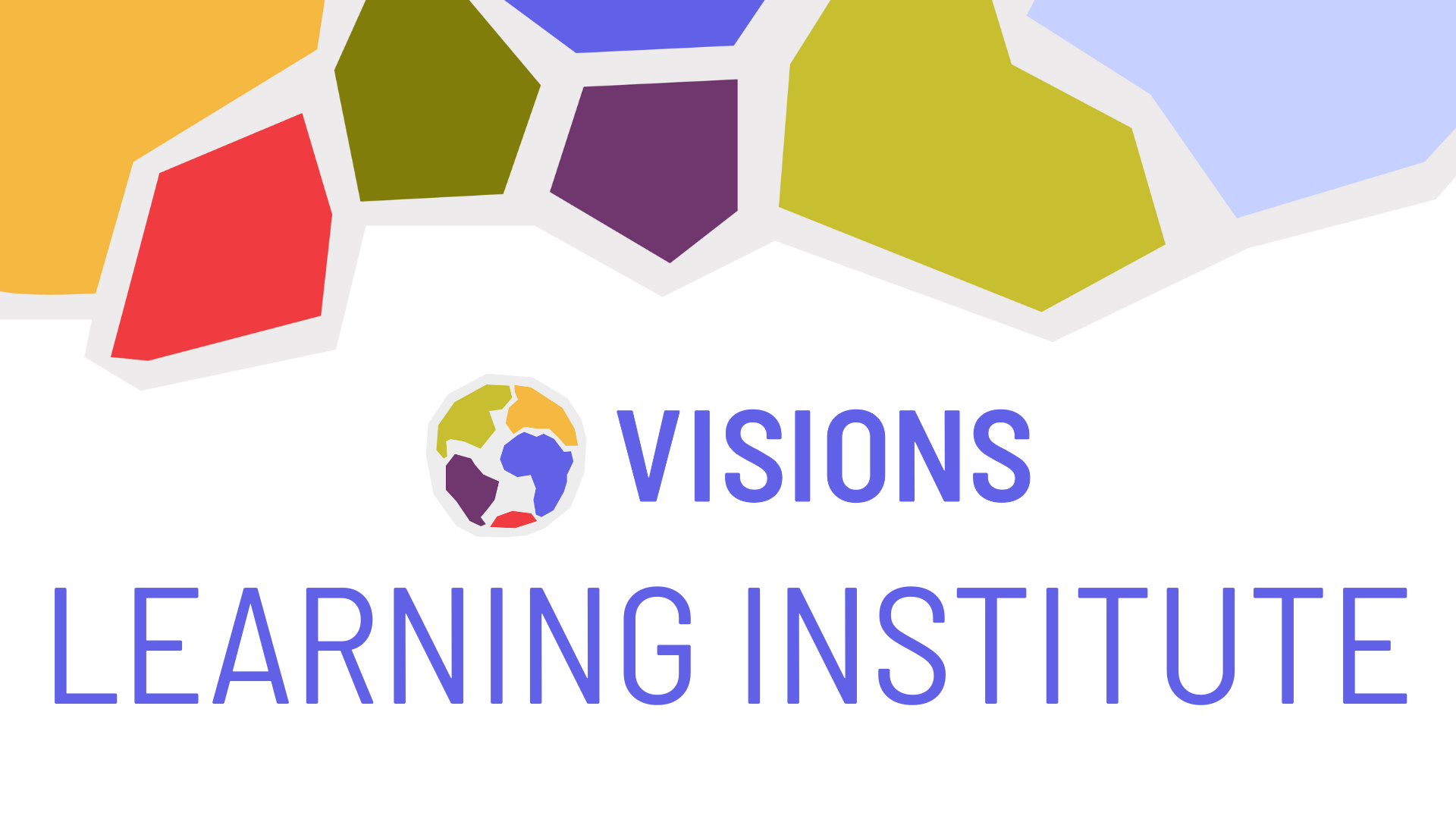 The Learning Institute - VISIONS Inc.